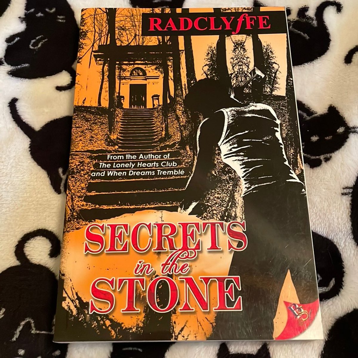 Secrets in the Stone by Radclyffe