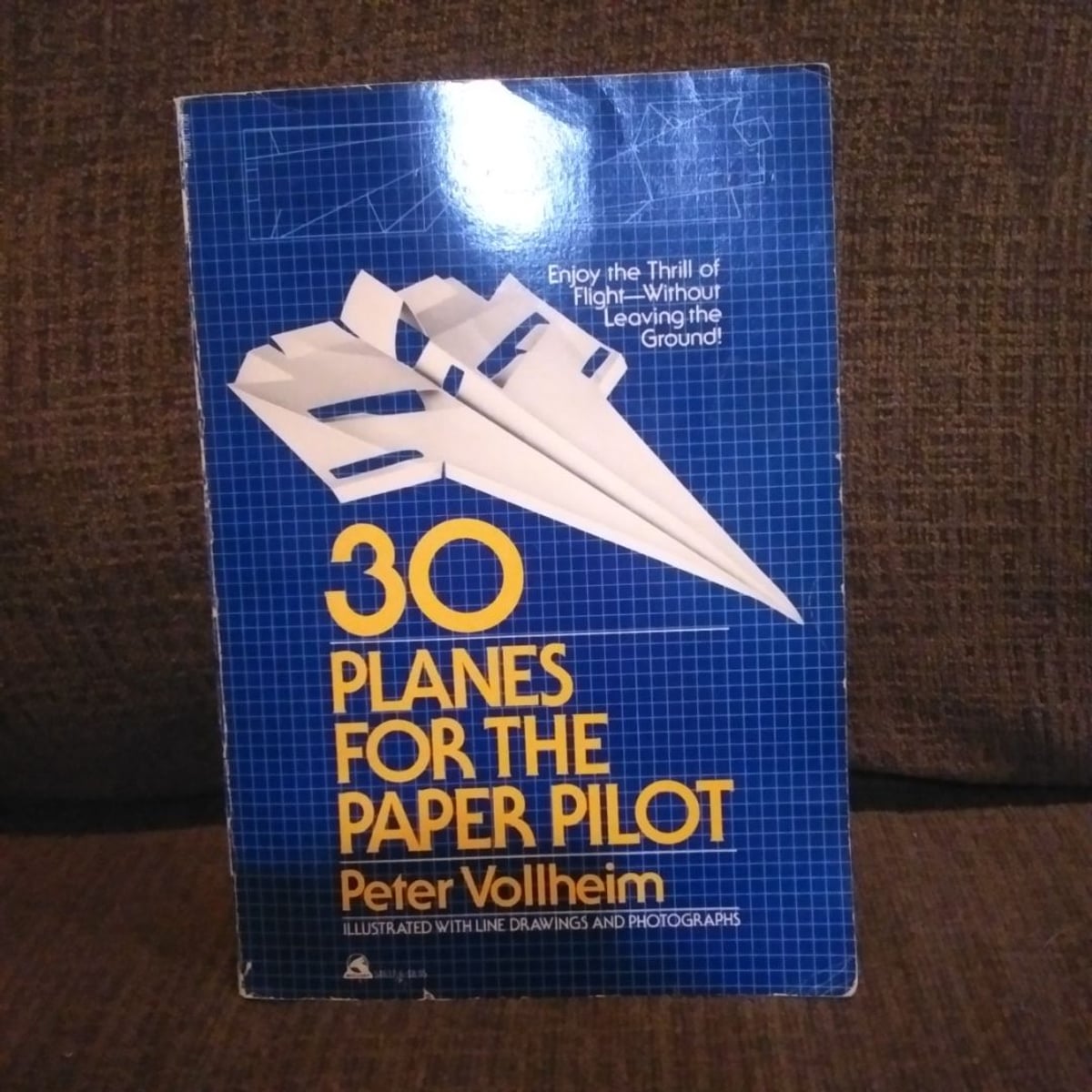 Thirty Planes for the Paper Pilot by Peter Vollheim