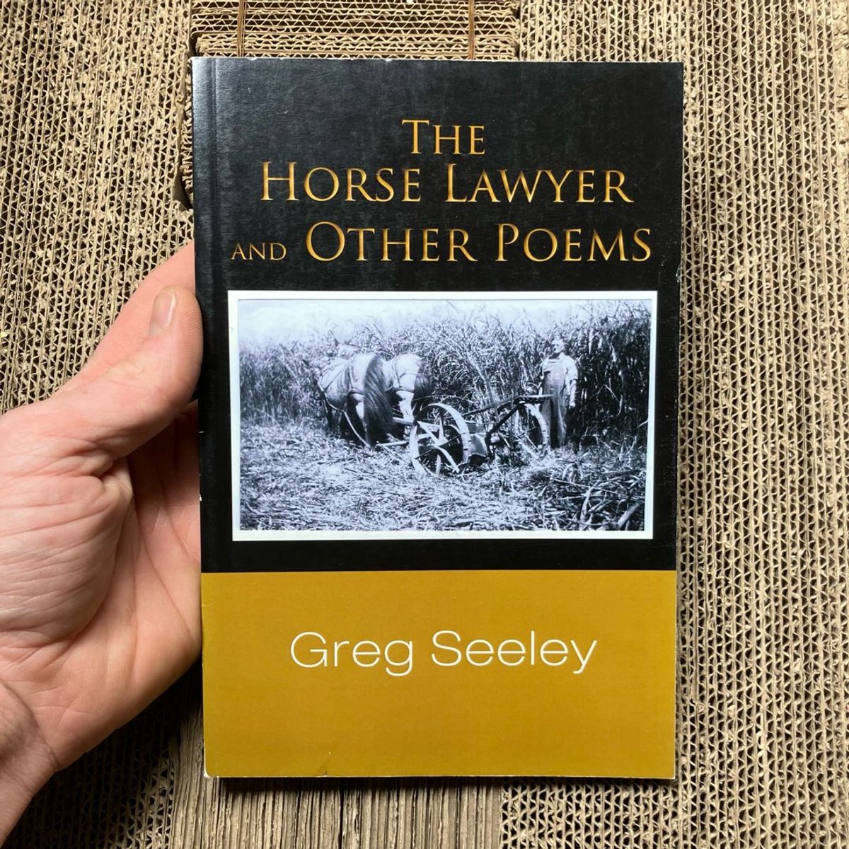 The Horse Lawyer and Other Poems by Greg Seeley