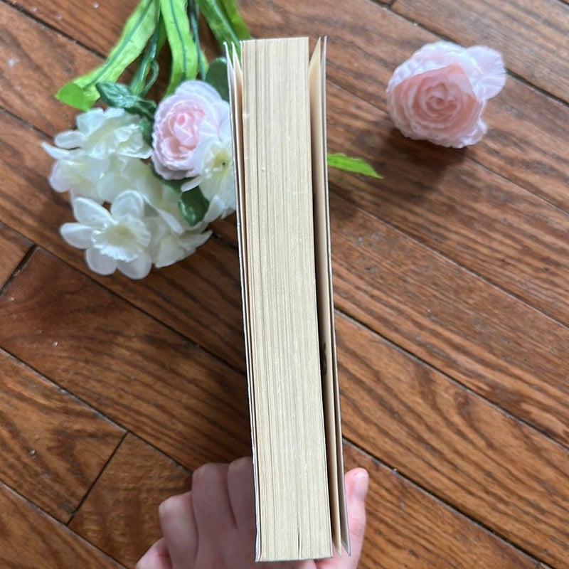 The Twisted Tree by Rachel Burge, Paperback | Pangobooks