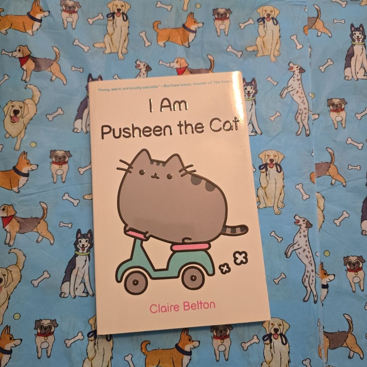 I Am Pusheen the Cat by Claire Belton