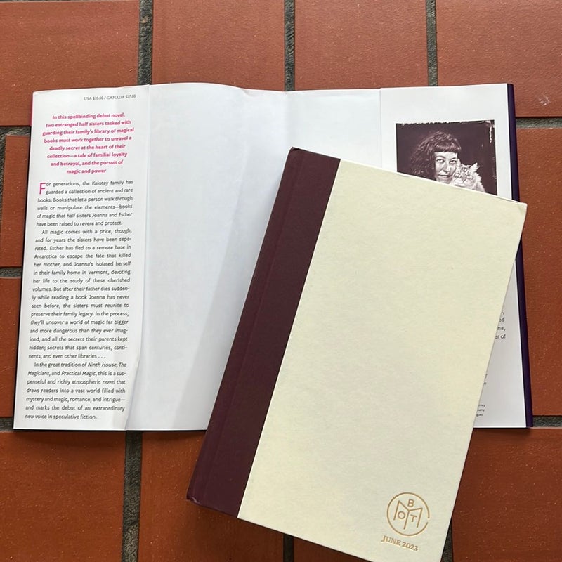 Ink Blood Sister Scribe by Emma Törzs, Hardcover | Pangobooks
