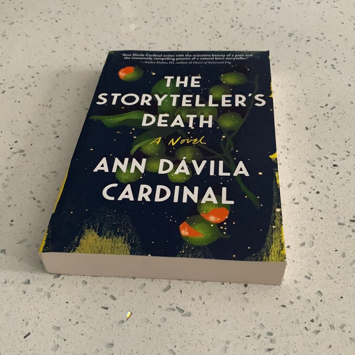 The Storyteller's Death by Ann Davila Cardinal