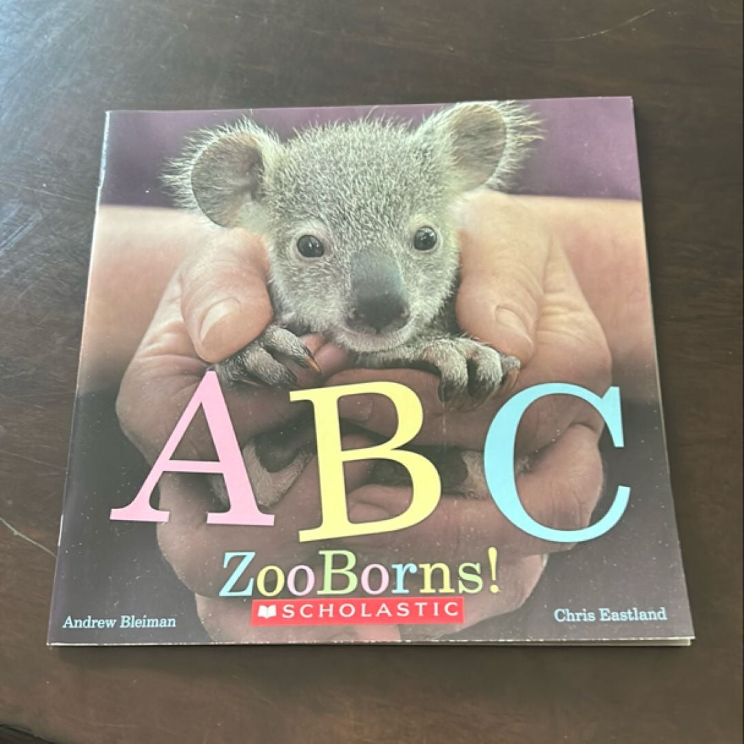 ABC Zoo Borns! by Andrew Bleiman, Paperback | Pangobooks