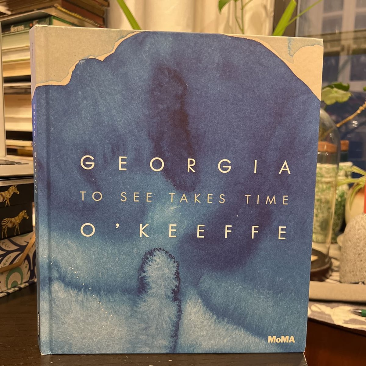 Georgia o'Keeffe: to See Takes Time by Samantha Friedman, Laura Neufeld