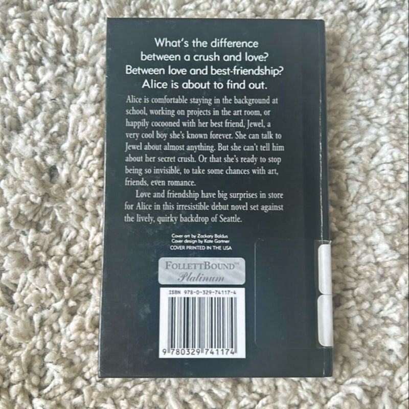 Opposite of Invisible by Liz Gallagher, Hardcover | Pangobooks