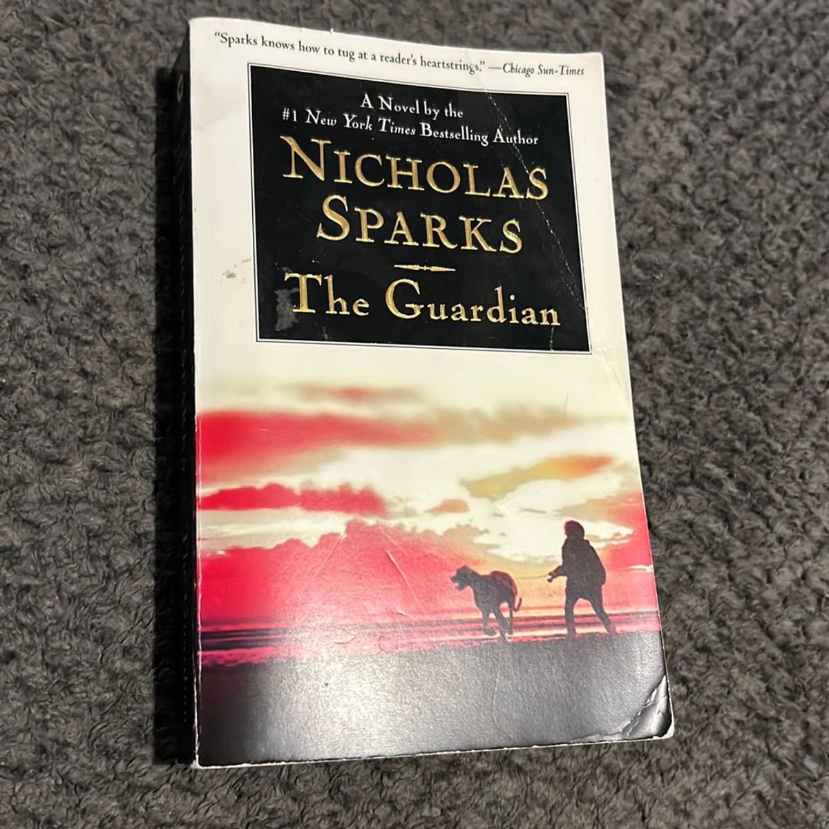 The Guardian by Nicholas Sparks, Paperback | Pangobooks