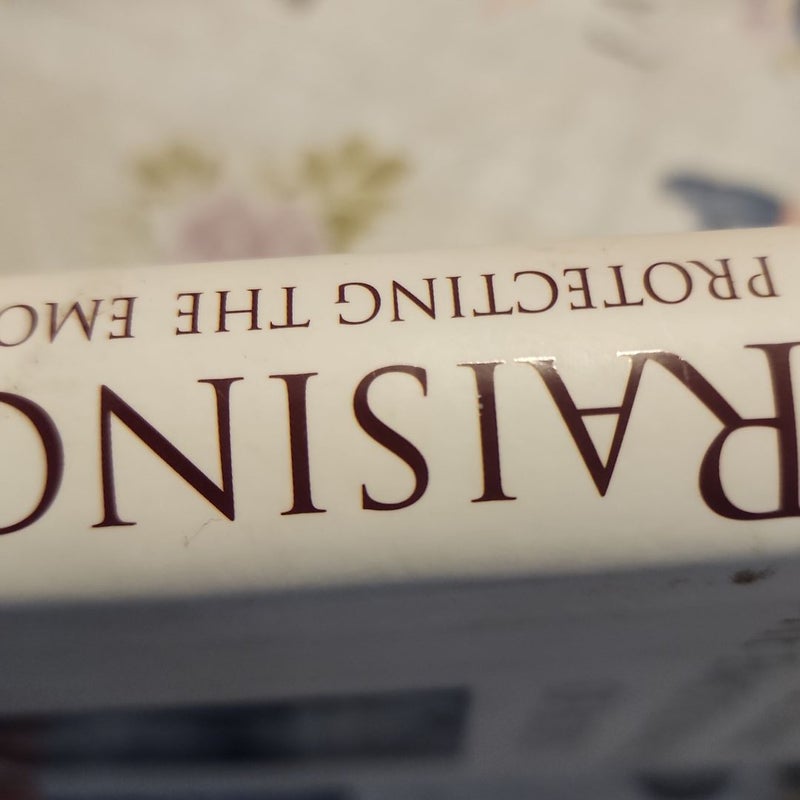 Raising Cain by Dan Kindlon, Michael Thompson