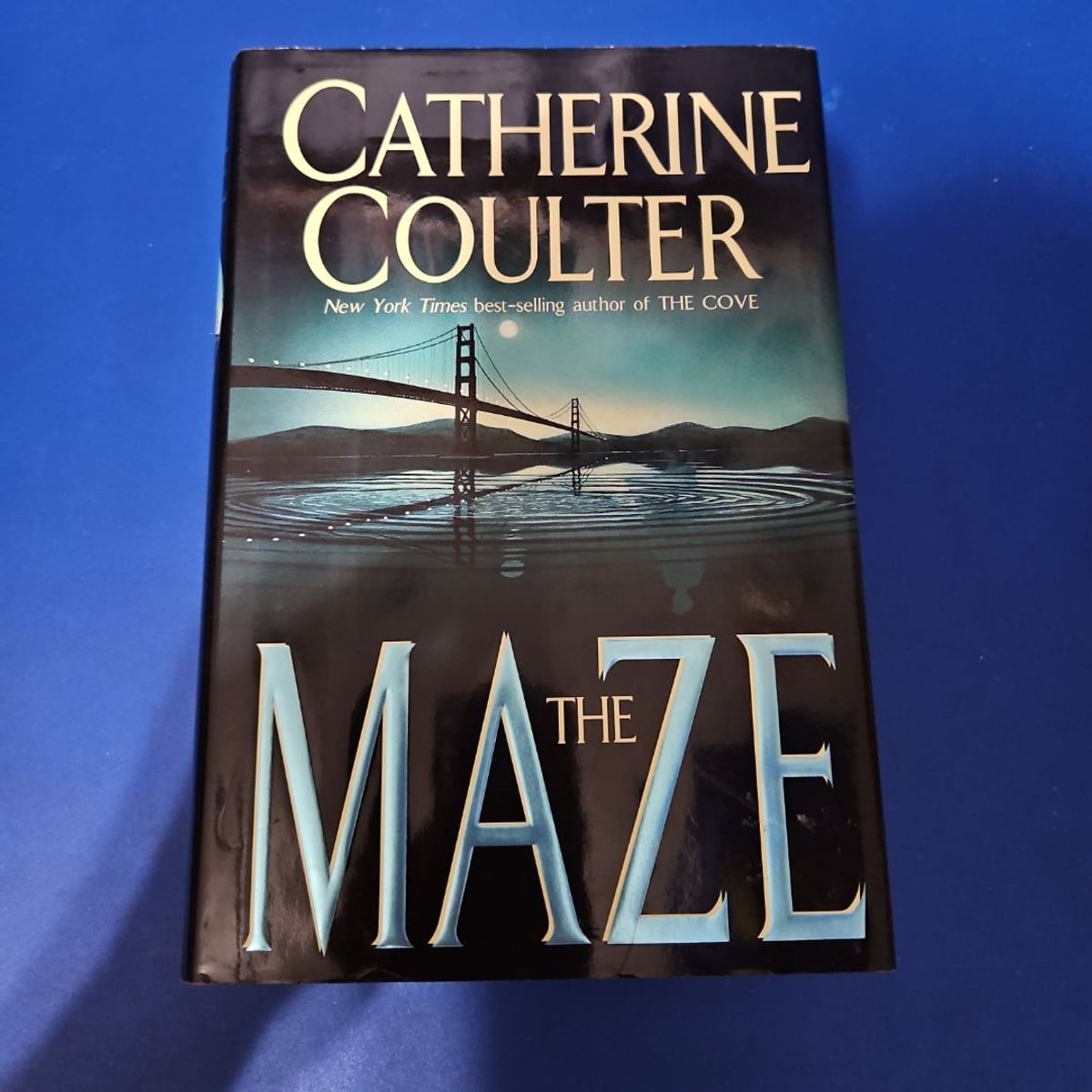 The Maze by Catherine Coulter