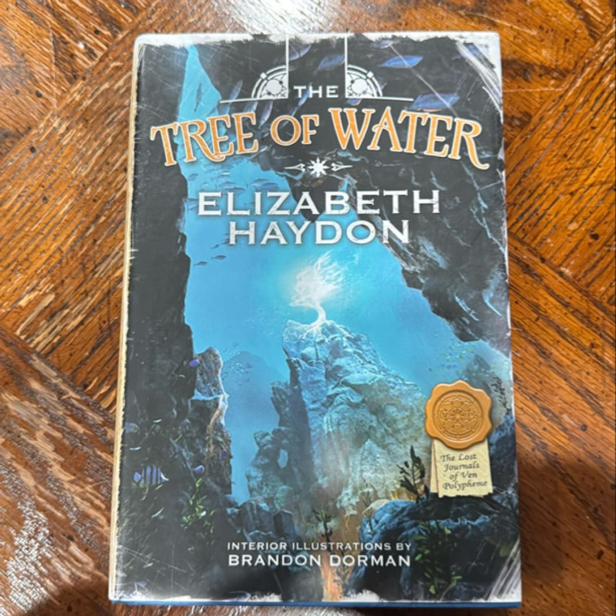 The Tree of Water by Elizabeth Haydon