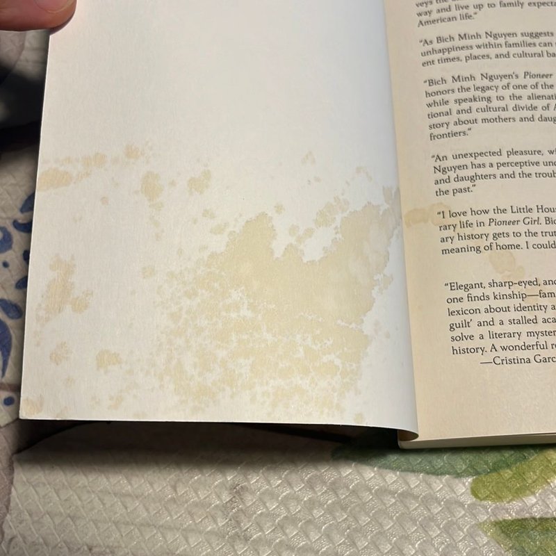 Pioneer Girl by Bich Minh Nguyen