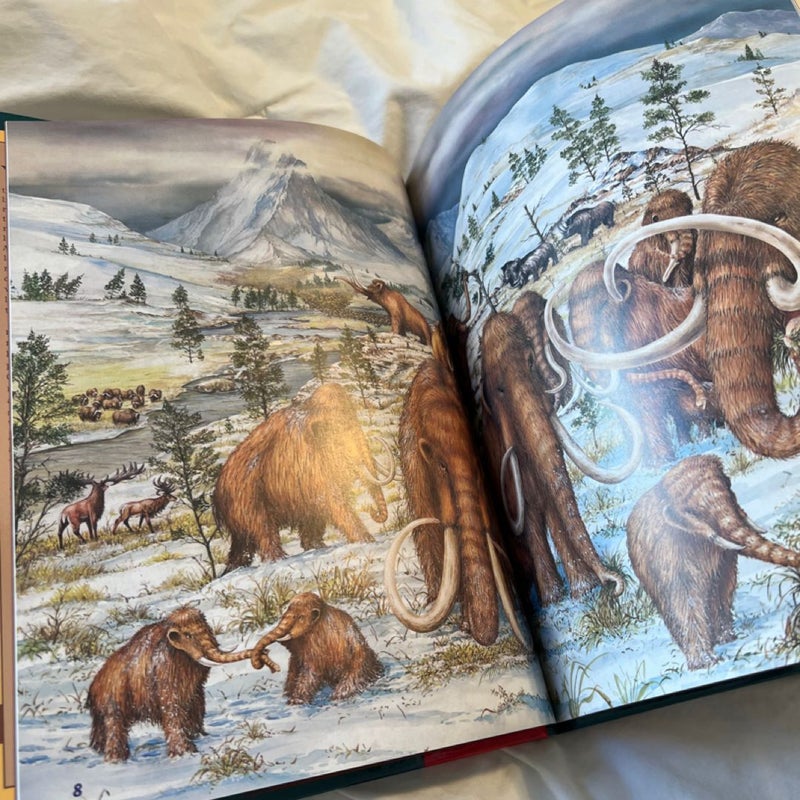 Woolly Mammoth by Windsor Chorlton, Hardcover | Pangobooks