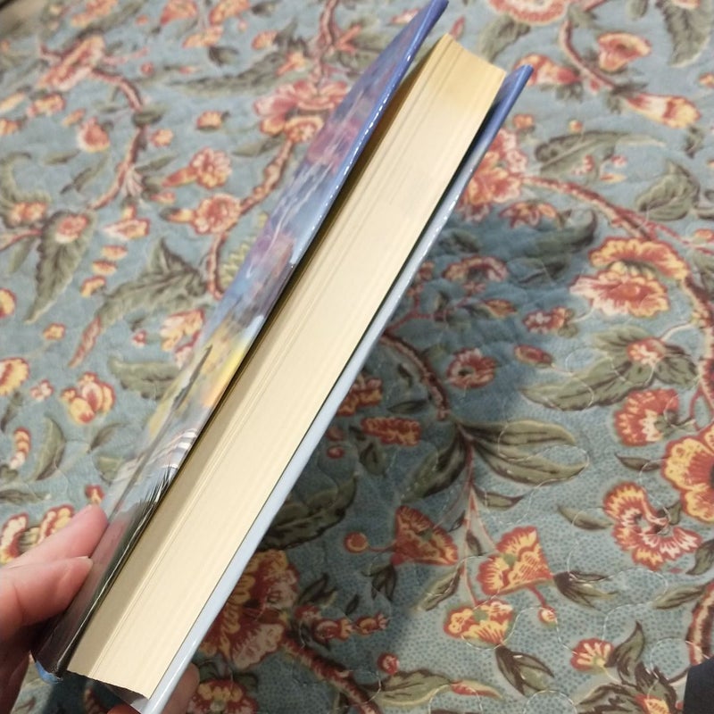 Caterpillar Summer by Gillian McDunn