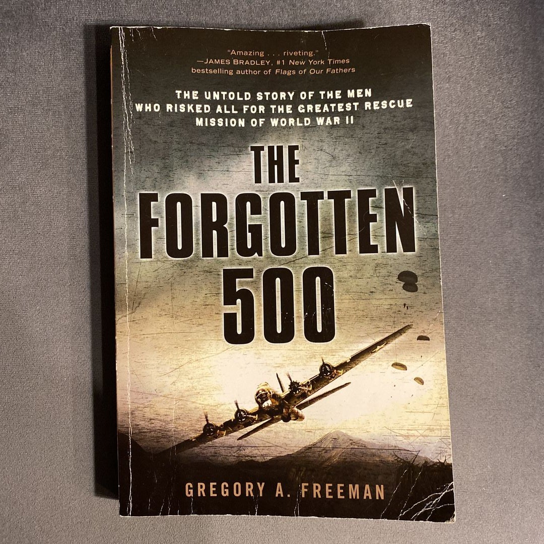 The Forgotten 500 by Gregory A. Freeman