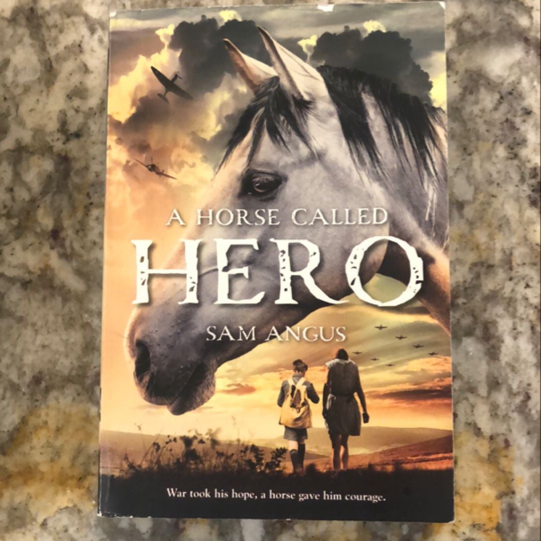 A Horse Called Hero by Sam Angus