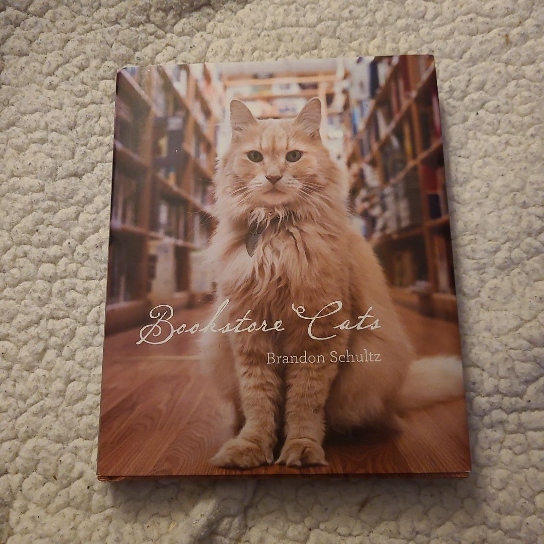 Bookstore Cats by Brandon Schultz