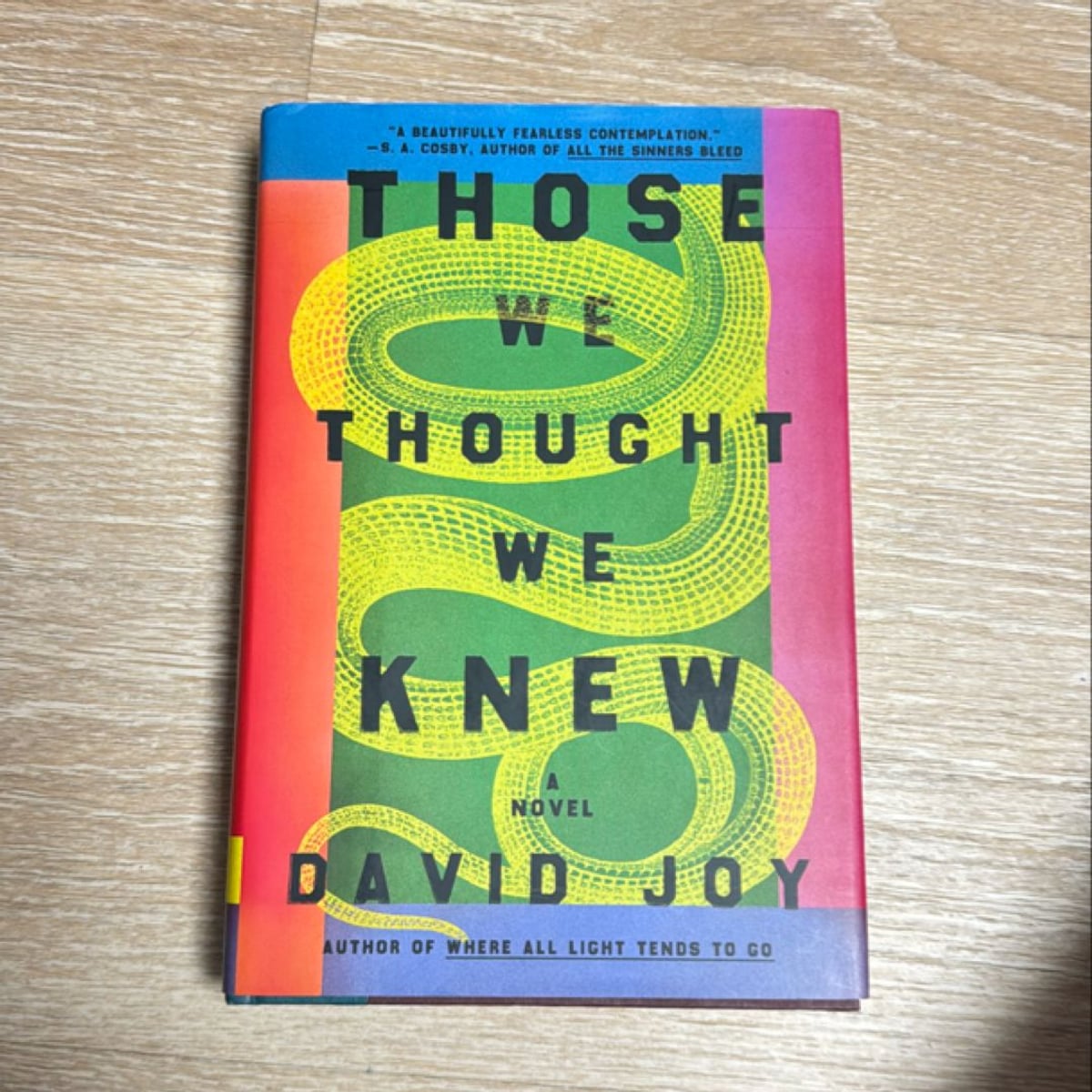 Those We Thought We Knew by David Joy