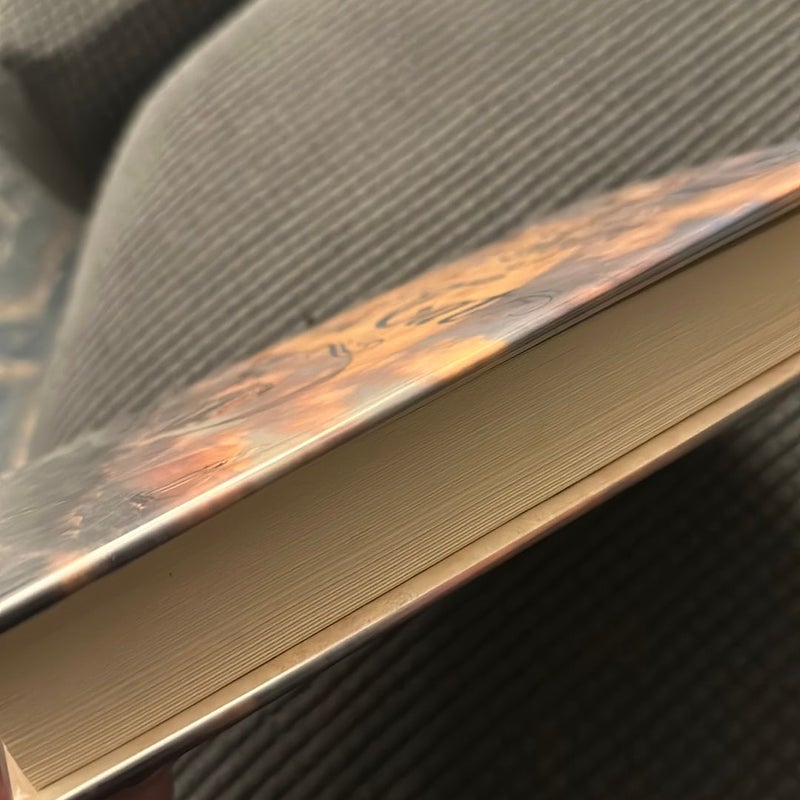 The Sign of the Cat by Lynne Jonell, Hardcover | Pangobooks