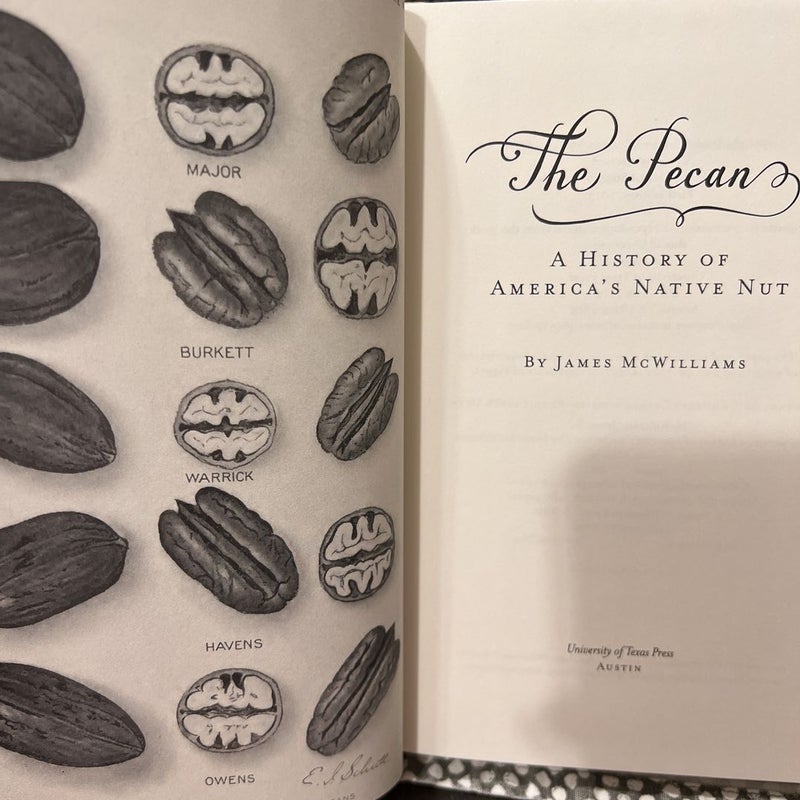 The Pecan by James McWilliams, Hardcover | Pangobooks