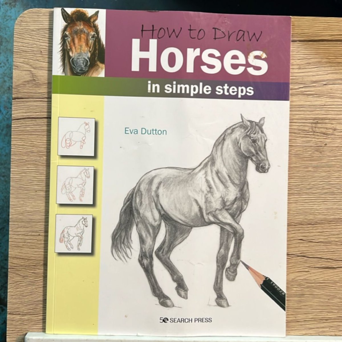 How to Draw Horses in Simple Steps by Eva Dutton