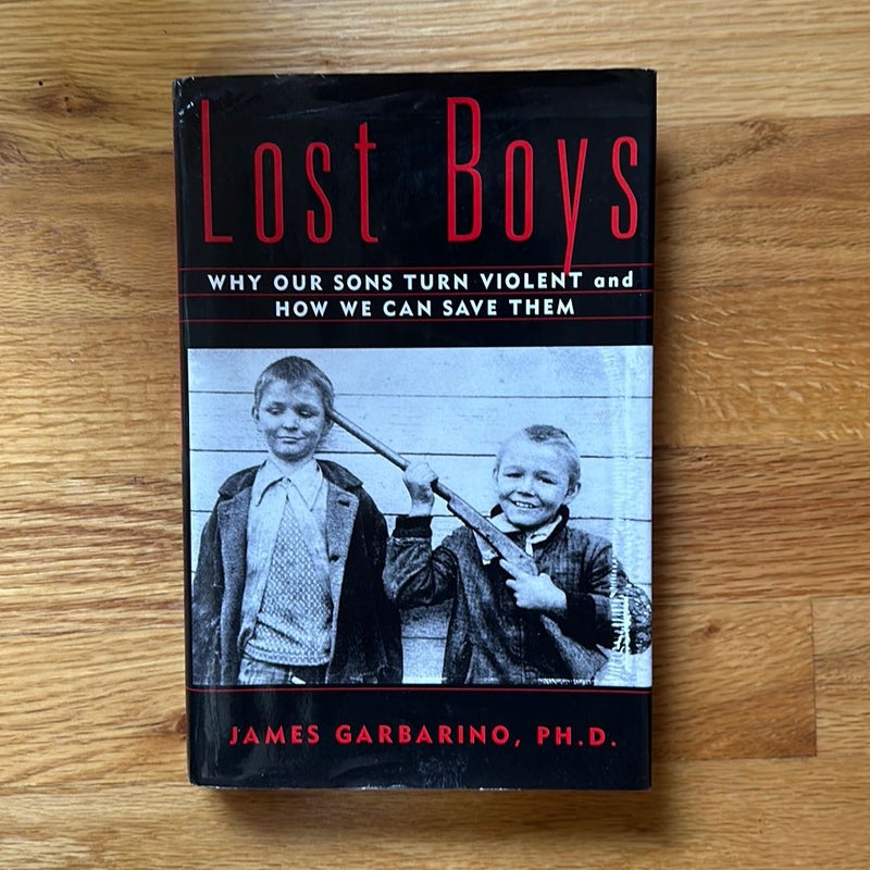 Lost Boys by James Garbarino, Hardcover | Pangobooks