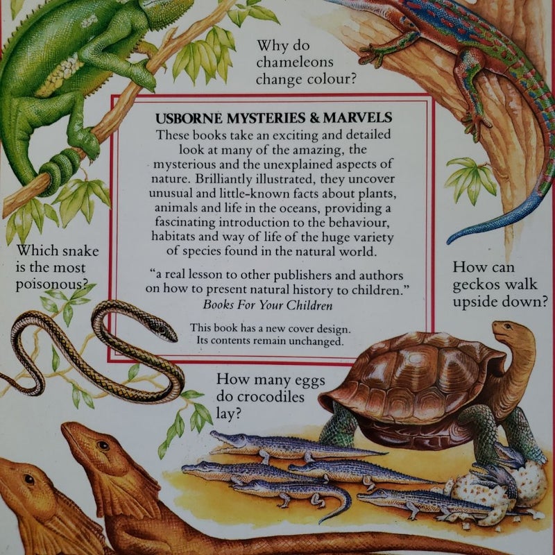 Reptile World by Ian F. Spellerberg, Marit McKerchar