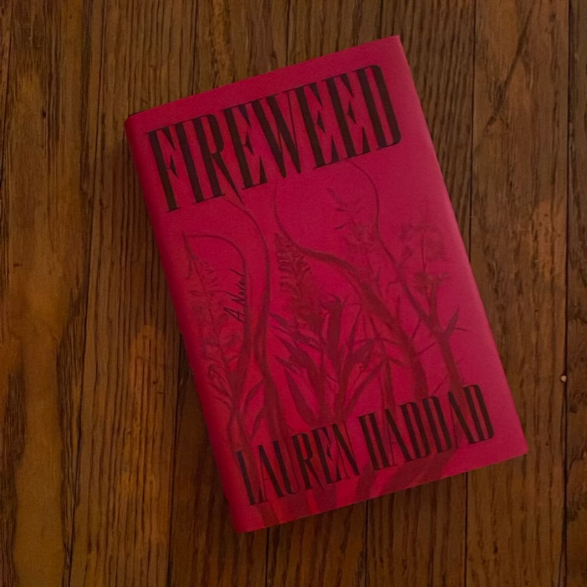 Fireweed by Lauren Haddad, Hardcover | Pangobooks