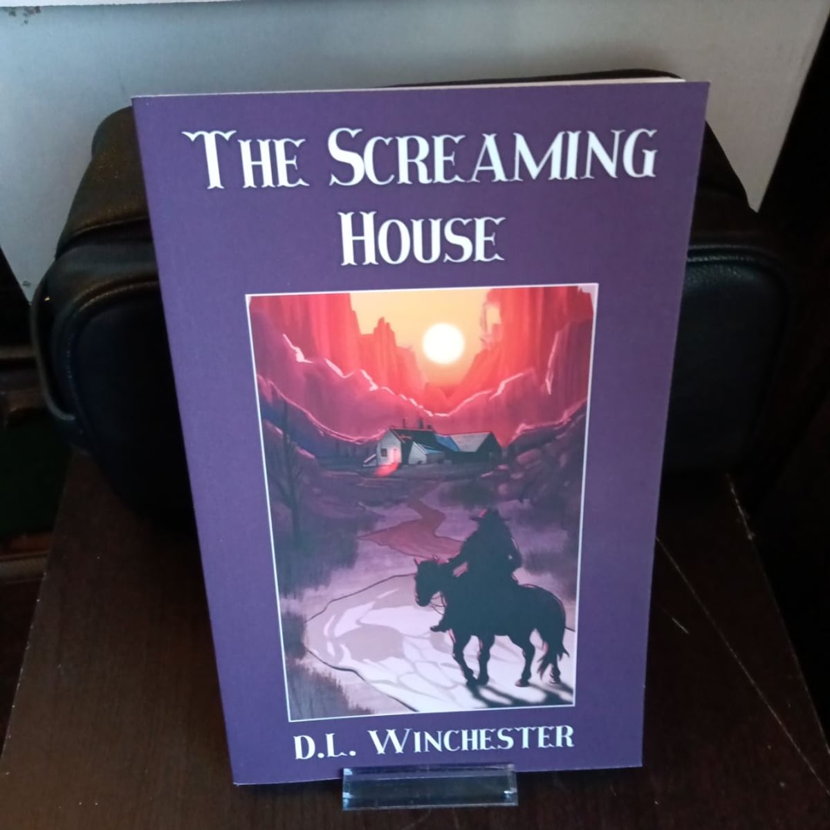 The Screaming House by D. L. Winchester