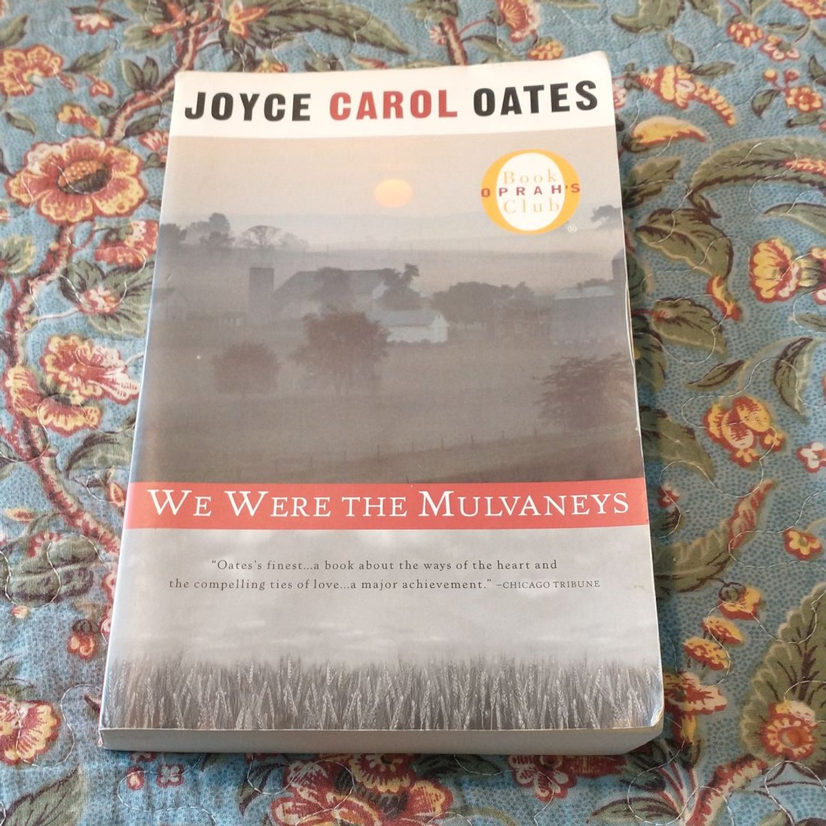 We Were the Mulvaneys by Joyce Carol Oates