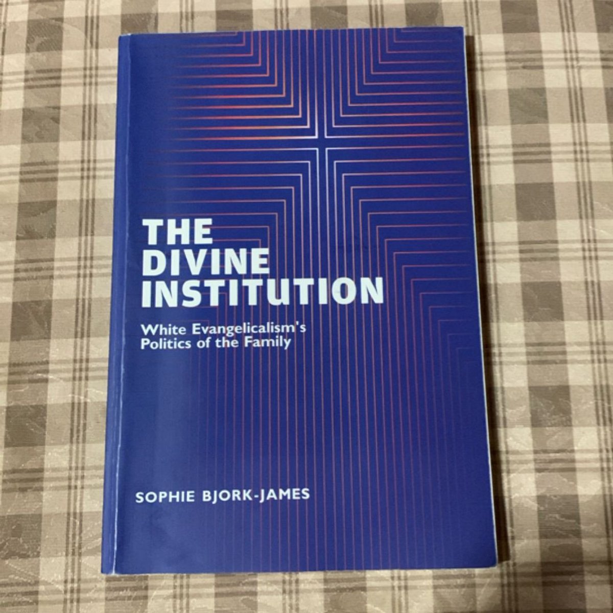 The Divine Institution by Sophie Bjork-James