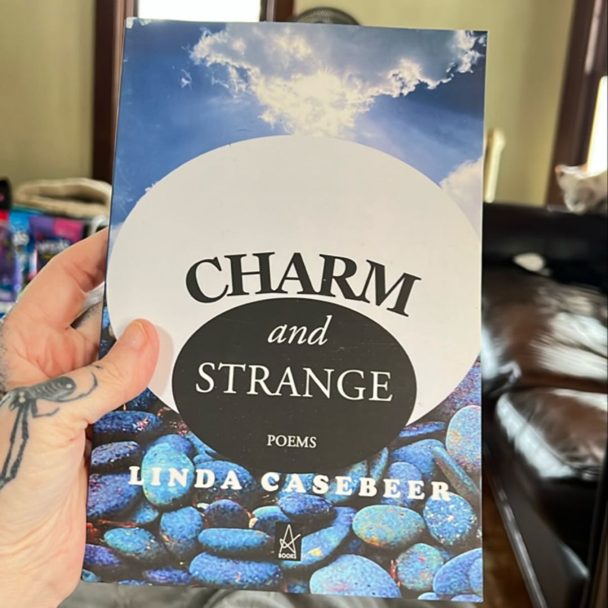 Charm and Strange by Linda Casebeer