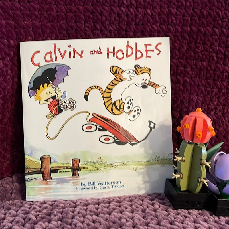 Calvin and Hobbes by William Watterson