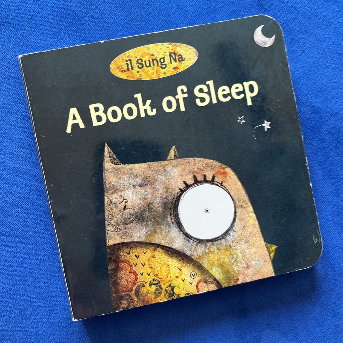 A Book of Sleep by Il Sung Na