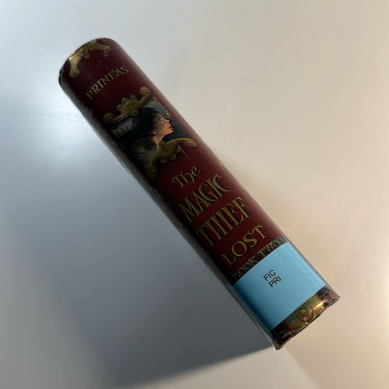 The Magic Thief: Lost by Sarah Prineas