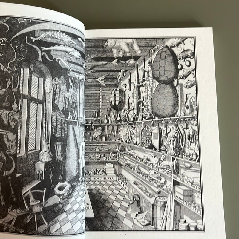 Mr. Wilson's Cabinet of Wonder by Lawrence Weschler, Paperback | Pangobooks