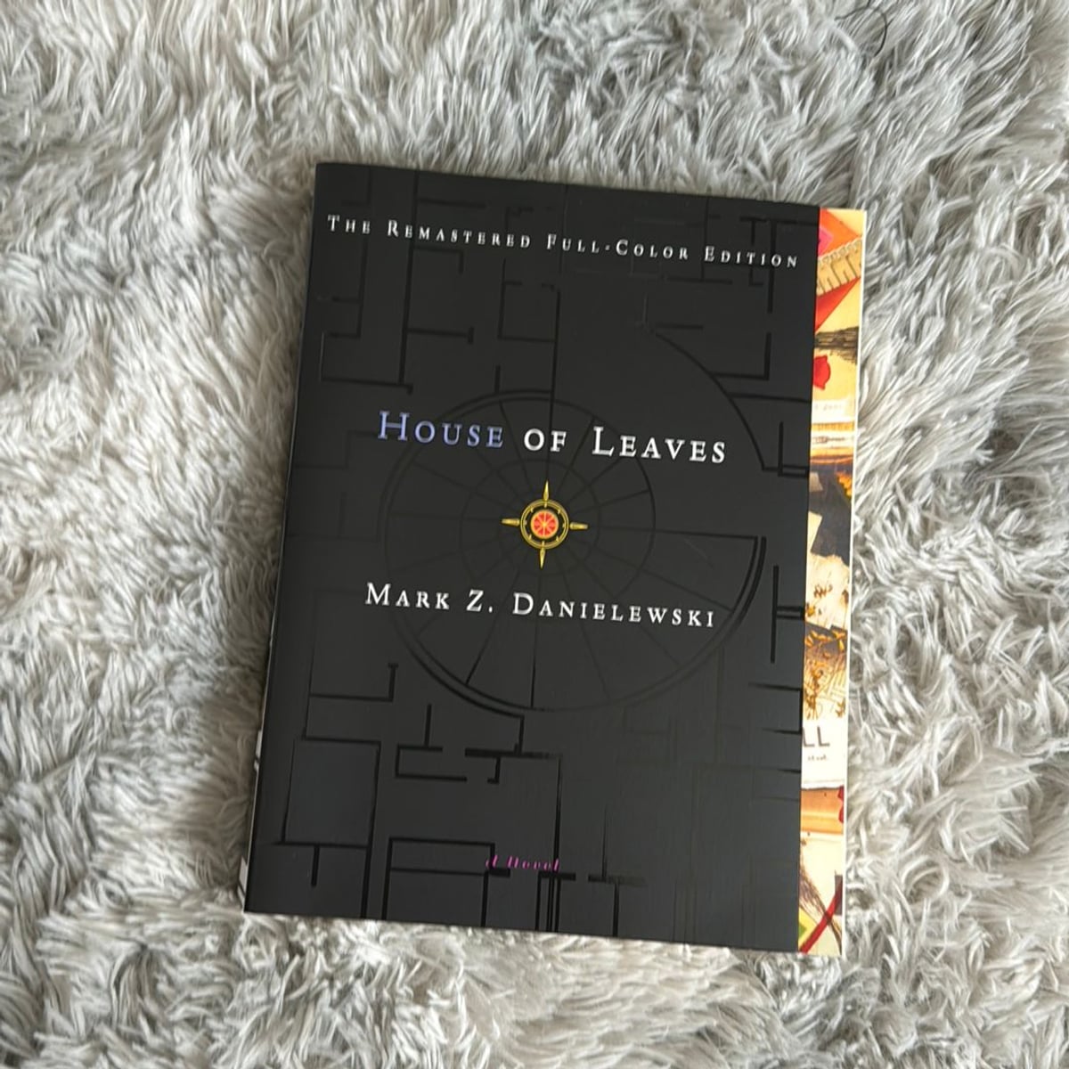 House of Leaves by Mark Z. Danielewski, Paperback | Pangobooks