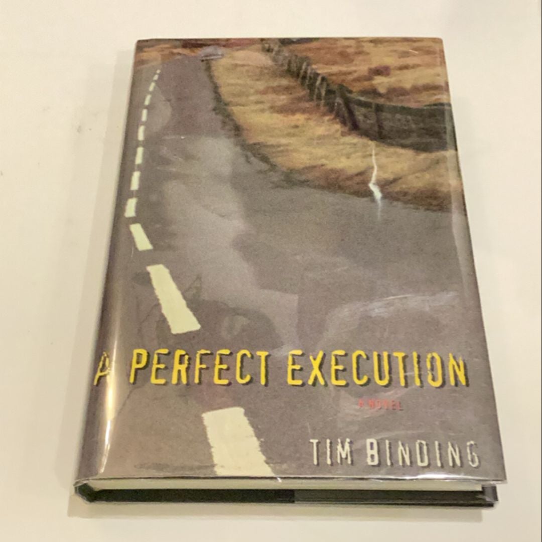 A Perfect Execution by Tim Binding