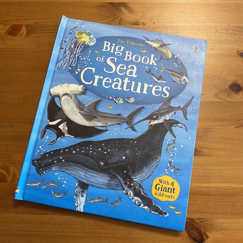 Big Book of Sea Creatures by Usborne , Hardcover | Pangobooks