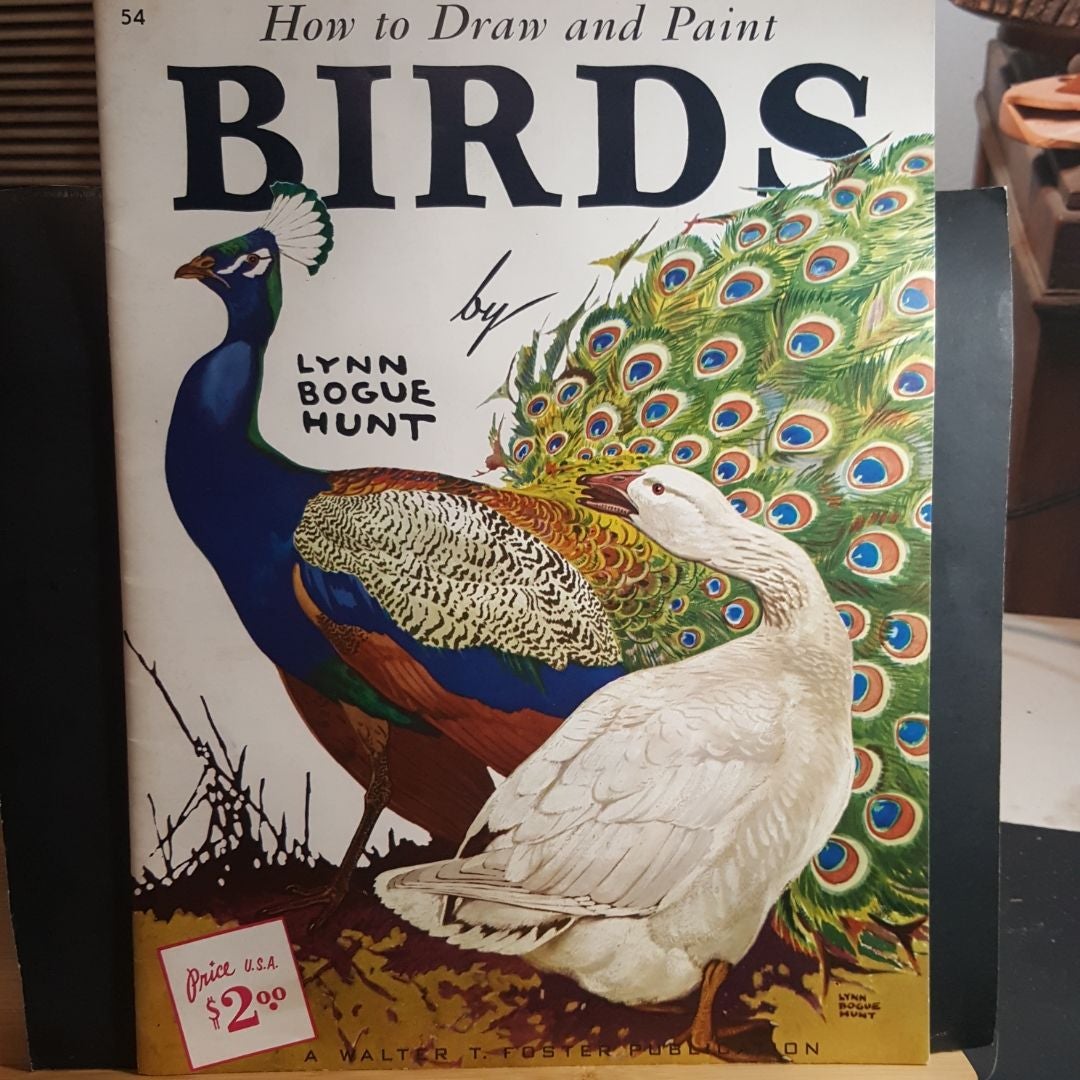 How to draw and paint Birds by Lynn Bogue Hunt, Paperback | Pangobooks