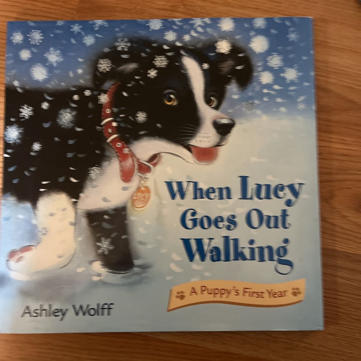When Lucy Goes Out Walking by Ashley Wolff