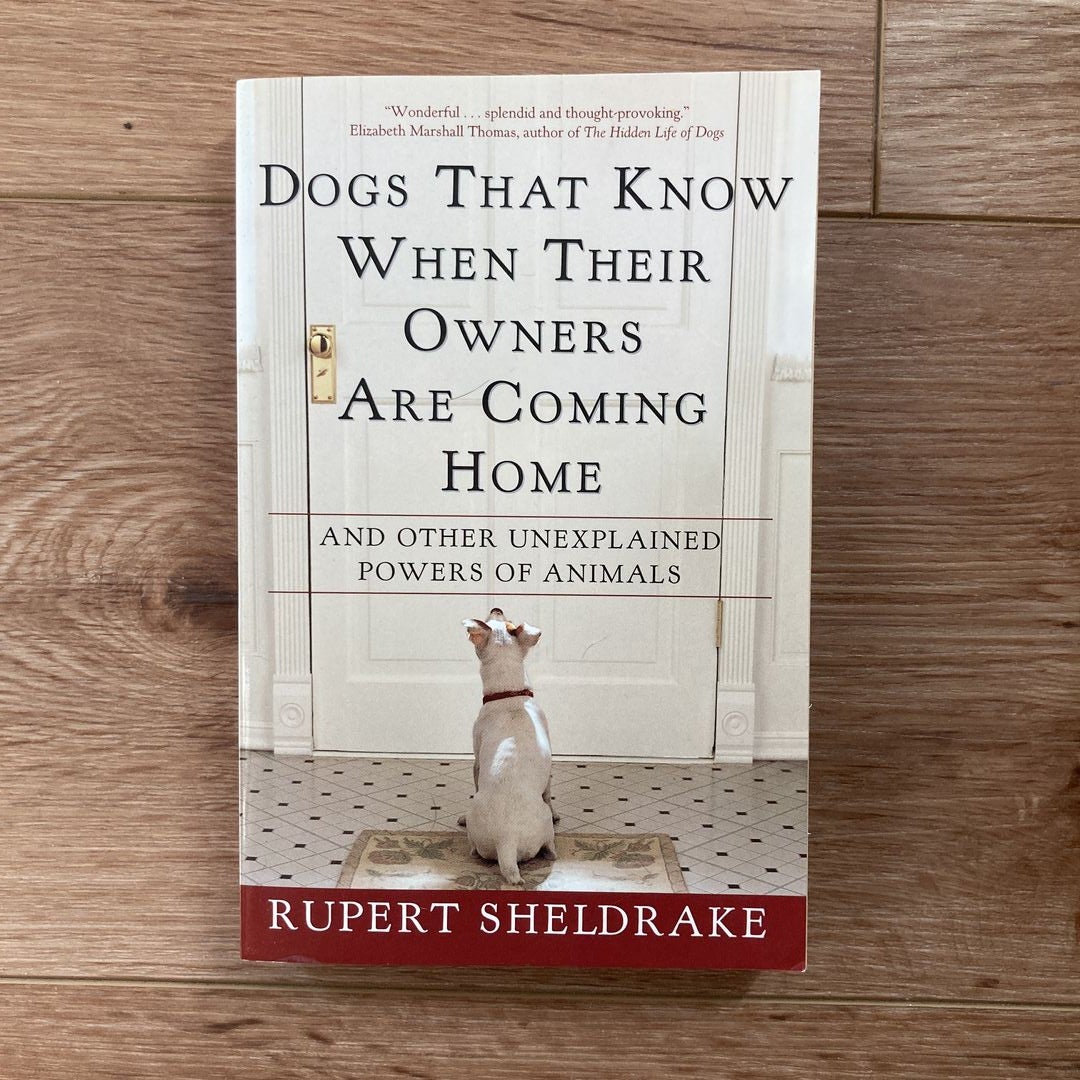 Dogs That Know When Their Owners Are Coming Home by Rupert Sheldrake