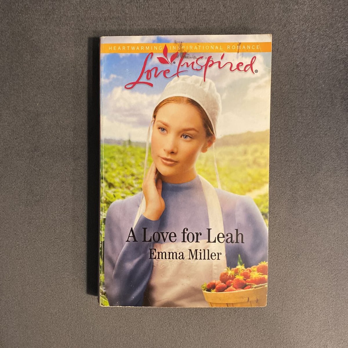 A Love for Leah by Emma Miller