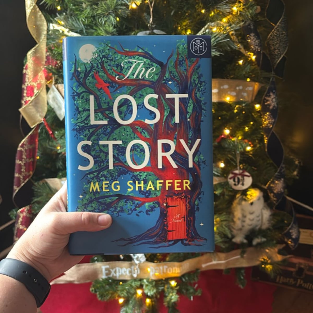 The Lost Story by , Hardcover | Pangobooks
