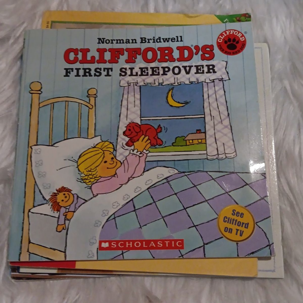 Clifford's First Sleepover by