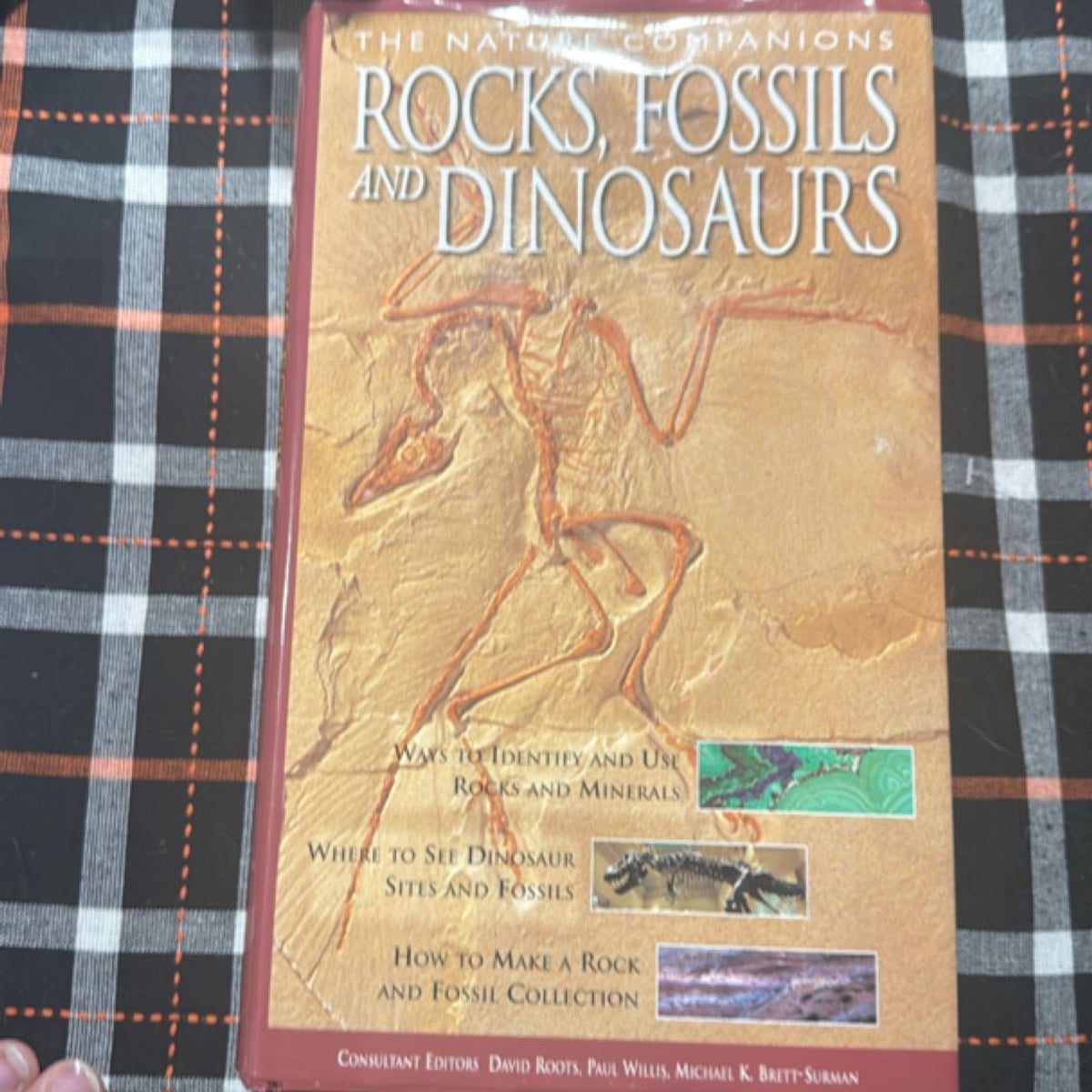 Rocks, Fossils and Dinosaurs by