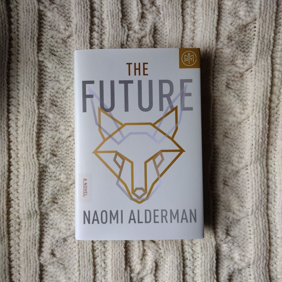 The Future by Naomi Alderman, Hardcover | Pangobooks