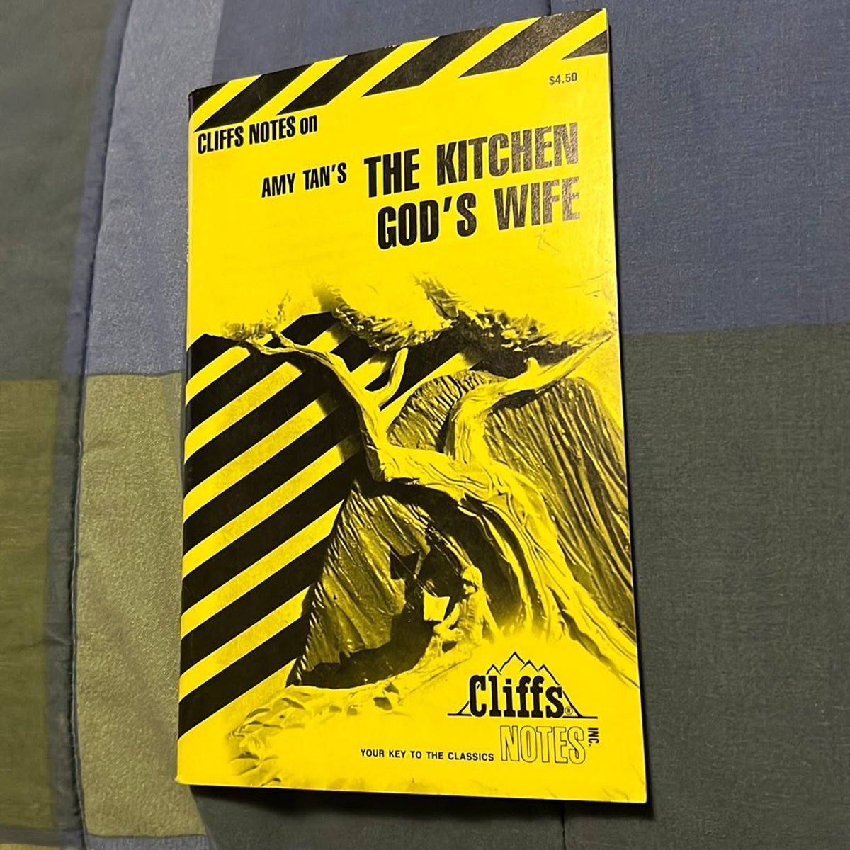 The Kitchen God's Wife by Cliffs Notes Staff