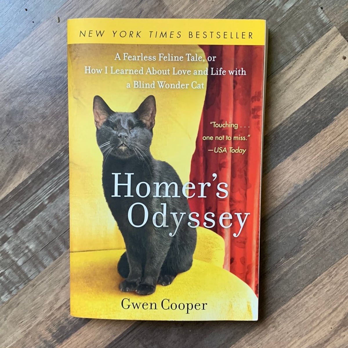 Homer's Odyssey by Gwen Cooper