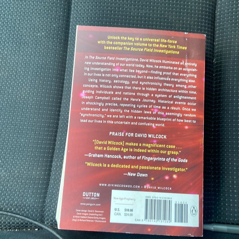 The Synchronicity Key by David Wilcock