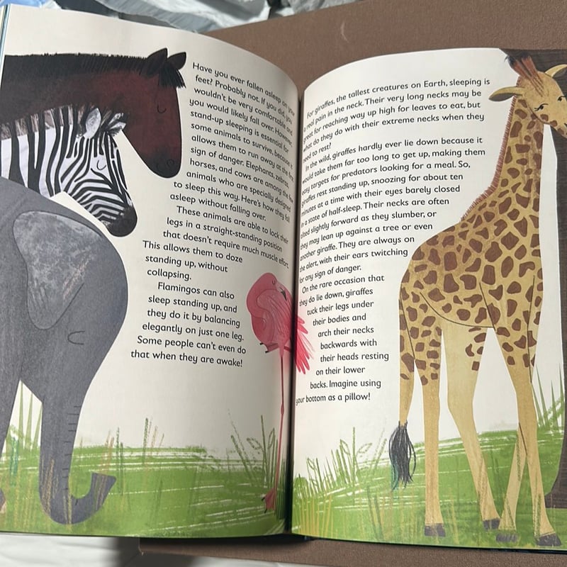 5-Minute Really True Stories for Bedtime by Britannica Britannica Group